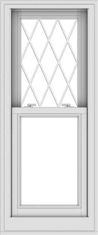 WDMA 20x48 (19.5 x 47.5 inch) Aluminum Single Double Hung Window with ...