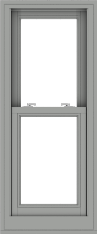 WDMA 20x48 (19.5 x 47.5 inch) Aluminum Single Double Hung Window with ...