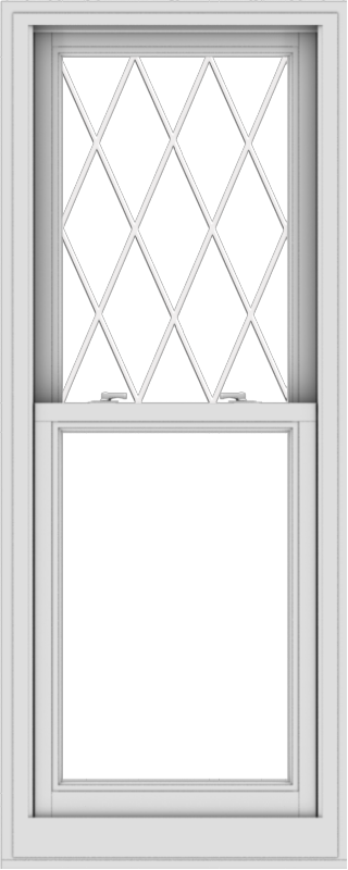 WDMA 24x60 (23.5 x 59.5 inch) Aluminum Single Double Hung Window with ...