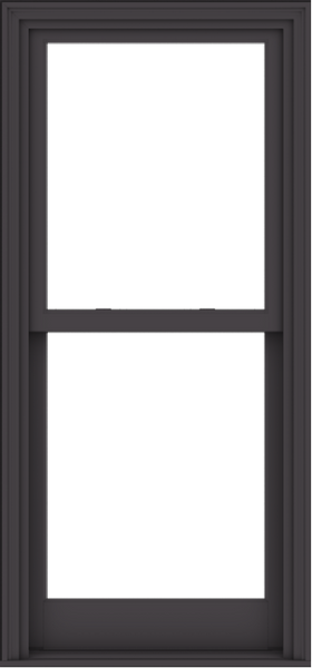 WDMA 28x60 (27.5 x 59.5 inch) Aluminum Single Double Hung Window with ...