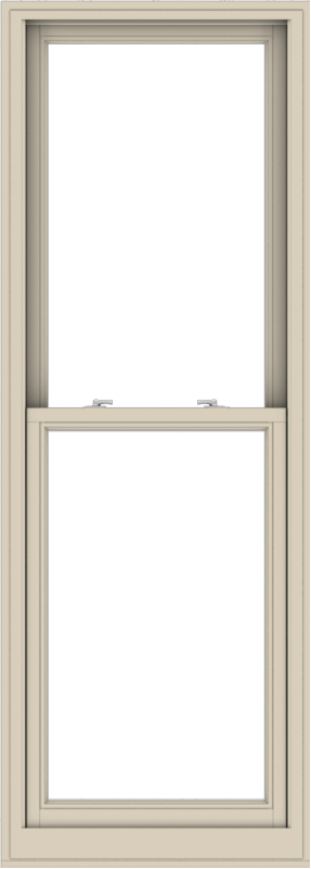 WDMA 28x78 (27.5 x 77.5 inch) Aluminum Single Double Hung Window with ...