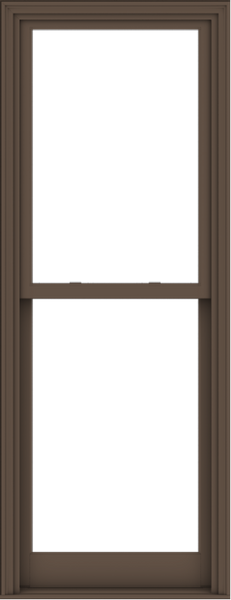 WDMA 30x78 (29.5 x 77.5 inch) Aluminum Single Double Hung Window with ...