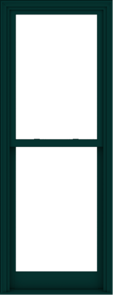 WDMA 30x78 (29.5 x 77.5 inch) Aluminum Single Double Hung Window with ...