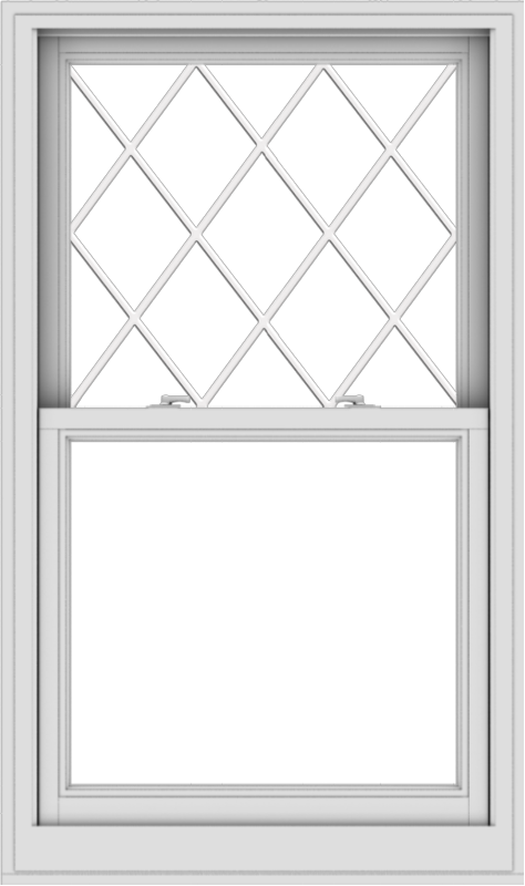 WDMA 32x54 (31.5 x 53.5 inch) Aluminum Single Double Hung Window with ...