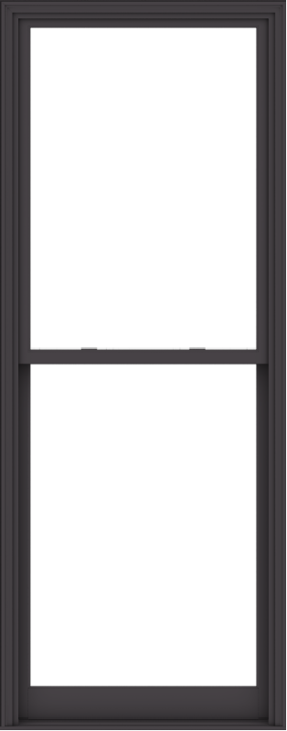WDMA 40x102 (39.5 x 101.5 inch) Aluminum Single Double Hung Window wit ...