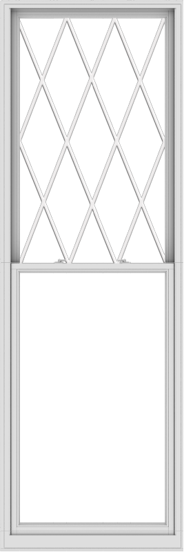 WDMA 40x120 (39.5 x 119.5 inch) Aluminum Single Double Hung Window wit ...