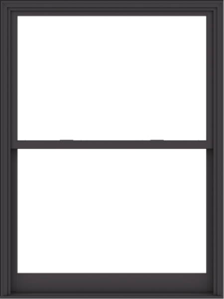 WDMA 54x72 (53.5 x 71.5 inch) Aluminum Single Double Hung Window with ...