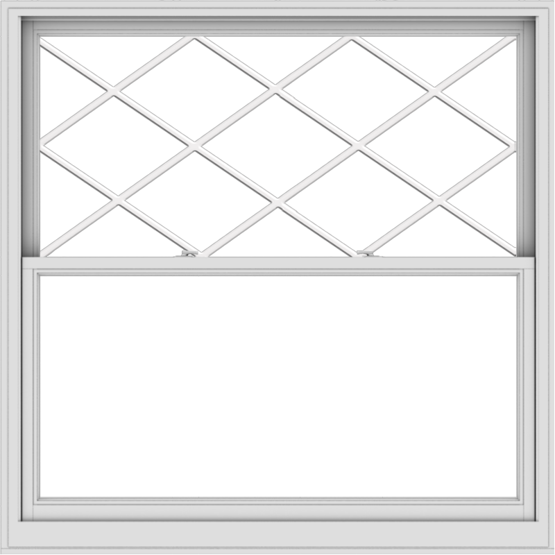 WDMA 60x60 (59.5 x 59.5 inch) Aluminum Single Double Hung Window with ...