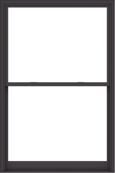 WDMA 60x90 (59.5 x 89.5 inch) Aluminum Single Double Hung Window with ...