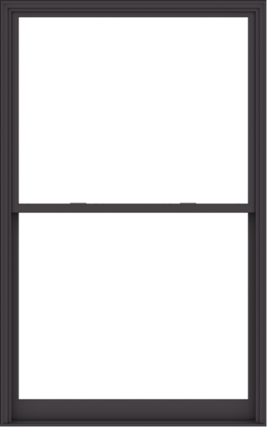 WDMA 60x96 (59.5 x 95.5 inch) Aluminum Single Double Hung Window with ...